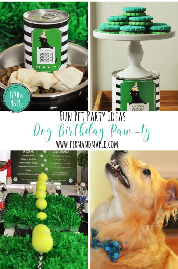 It's a Doggy Party! - Hosting the Perfect Pet Party - Fern and Maple