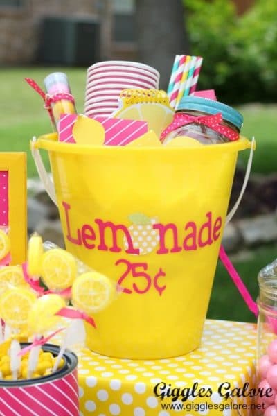 10 Steps for Setting up the Perfect Summer Lemonade Stand - Fern and Maple