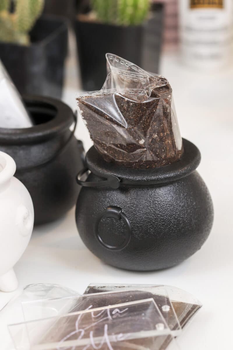 Witch Craft Boo Baskets with DIY Cauldron Planters - Fern and Maple